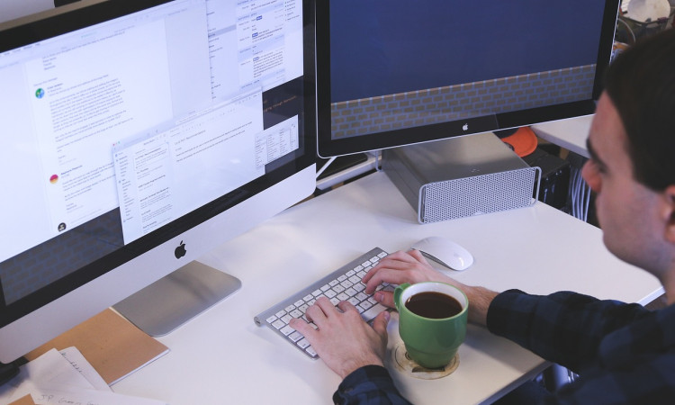 ¿Qué es un Bug? - anexom